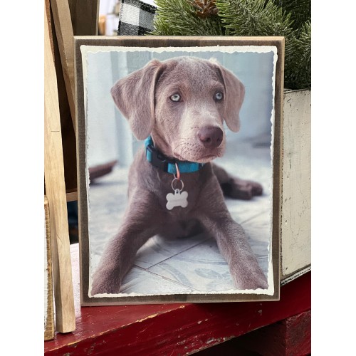 6X6 COLOR PHOTO BLOCK - I NEED A PIC ME UP